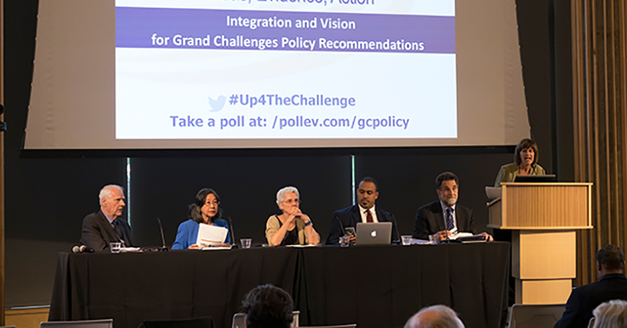 Grand Challenges for Social Work - Brown School at Washington ...